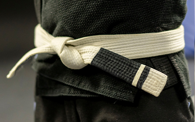 White Belt Instructionals - Team Torres Derry